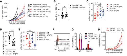 Simultaneous Inhibition of LSD1 and TGFβ Enables Eradication of Poorly ...