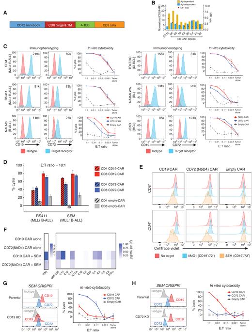 Surface Proteomics Reveals CD72 as a Target for In Vitro–Evolved ...