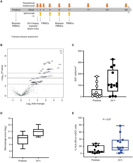 Tilsotolimod with Ipilimumab Drives Tumor Responses in Anti–PD-1 ...