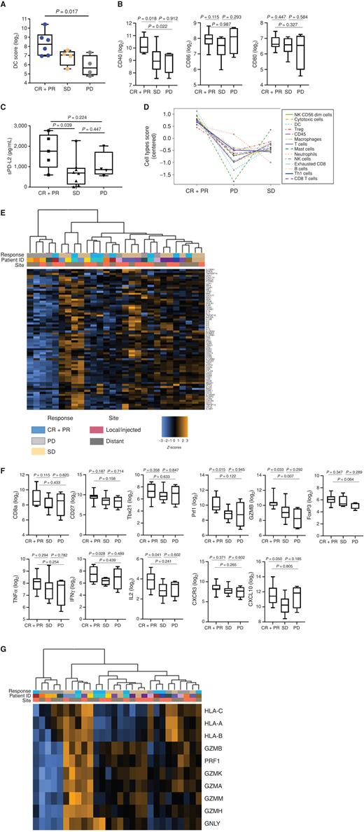 Tilsotolimod with Ipilimumab Drives Tumor Responses in Anti–PD-1 ...