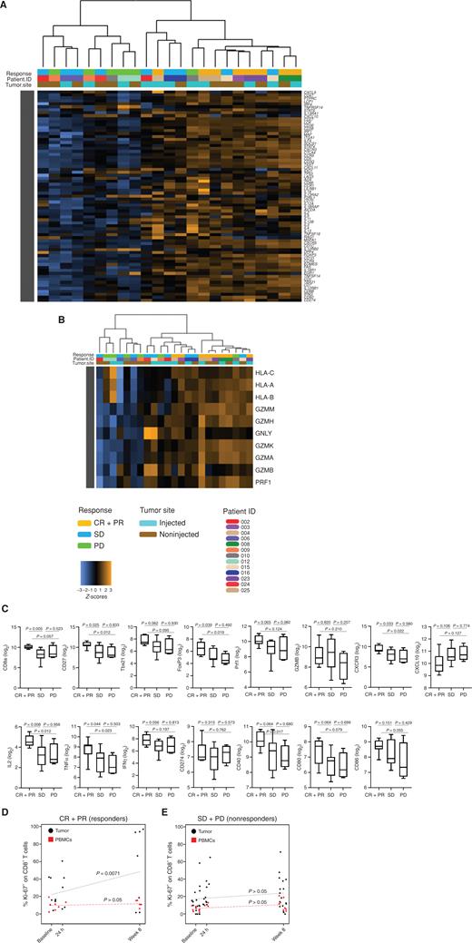 Tilsotolimod with Ipilimumab Drives Tumor Responses in Anti–PD-1 ...