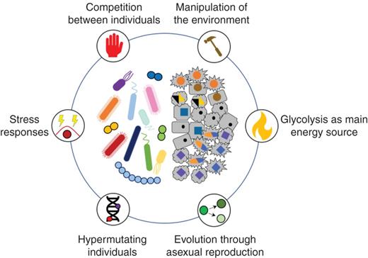 Adaptive Evolution: How Bacteria and Cancer Cells Survive Stressful ...