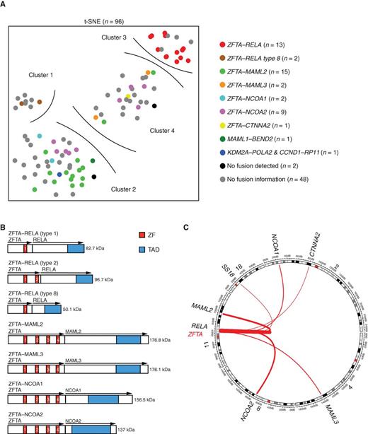 Cross-Species Genomics Reveals Oncogenic Dependencies in ZFTA/C11orf95 ...
