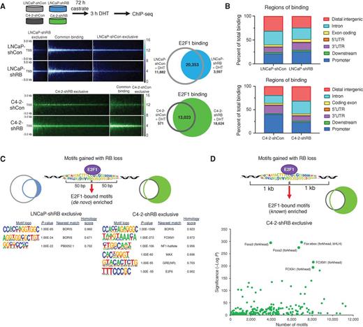 RB/E2F1 as a Master Regulator of Cancer Cell Metabolism in Advanced ...