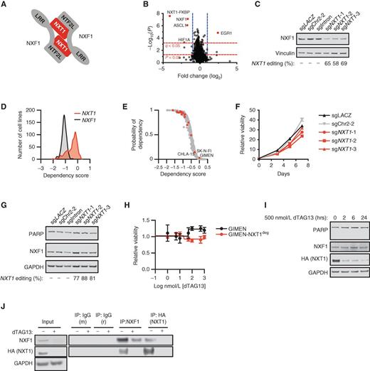 Selective Modulation of a Pan-Essential Protein as a Therapeutic ...