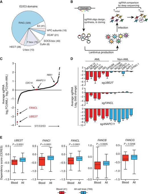 Transcriptional Silencing of ALDH2 Confers a Dependency on Fanconi ...