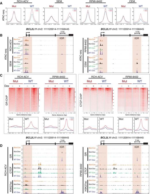 PRC2 Inhibitors Overcome Glucocorticoid Resistance Driven by NSD2 ...