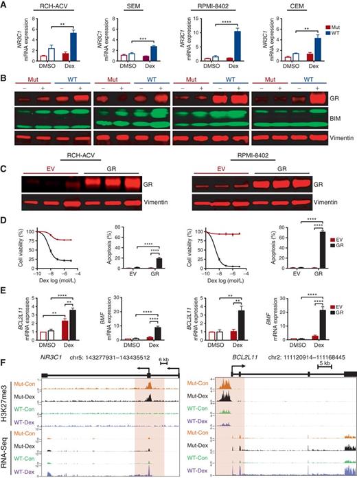 PRC2 Inhibitors Overcome Glucocorticoid Resistance Driven by NSD2 ...