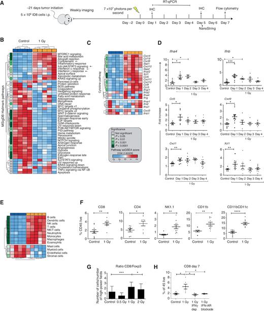 Low-Dose Radiotherapy Reverses Tumor Immune Desertification and ...