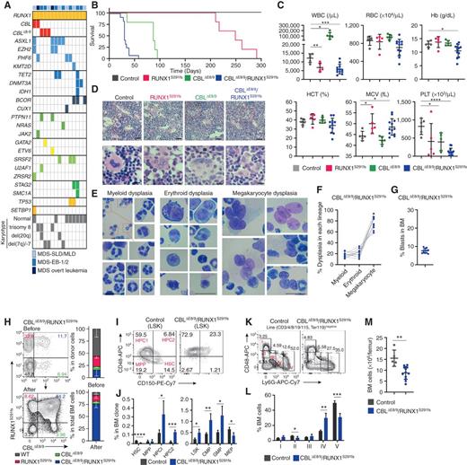 Mitochondrial Fragmentation Triggers Ineffective Hematopoiesis in ...