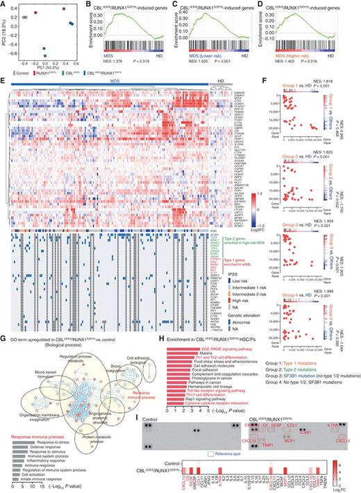Mitochondrial Fragmentation Triggers Ineffective Hematopoiesis in ...