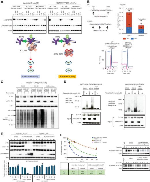 RTK-Dependent Inducible Degradation of Mutant PI3Kα Drives GDC-0077 ...