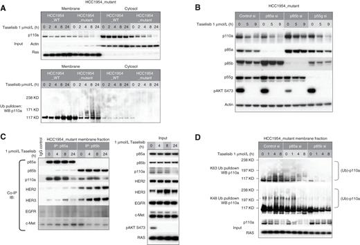 RTK-Dependent Inducible Degradation of Mutant PI3Kα Drives GDC-0077 ...