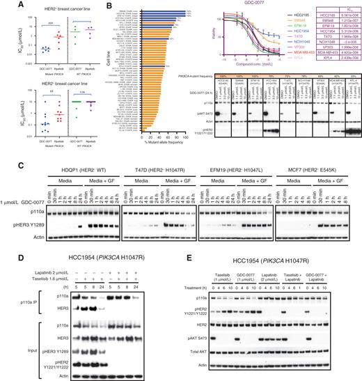 RTK-Dependent Inducible Degradation of Mutant PI3Kα Drives GDC-0077 ...