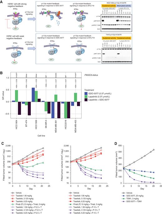 RTK-Dependent Inducible Degradation of Mutant PI3Kα Drives GDC-0077 ...
