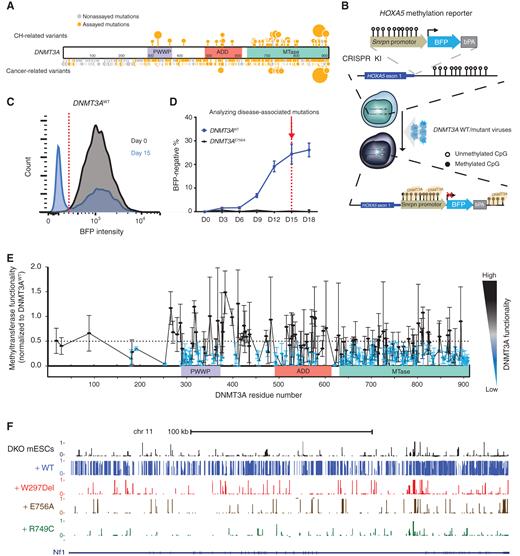 Systematic Profiling of DNMT3A Variants Reveals Protein Instability ...