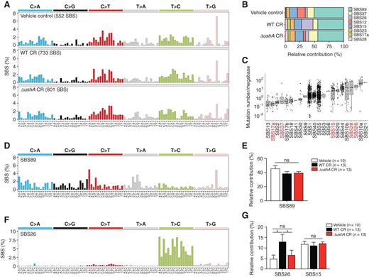 Bacterial Genotoxin Accelerates Transient Infection–Driven Murine Colon ...