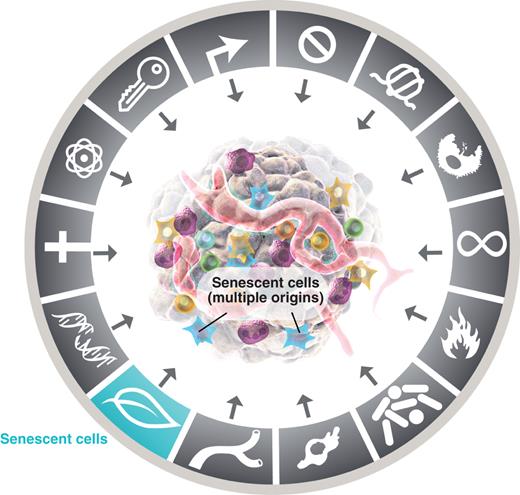 Hallmarks of Cancer: New Dimensions | Cancer Discovery | American ...