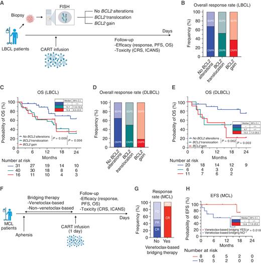 Modulation of BCL-2 in Both T Cells and Tumor Cells to Enhance Chimeric ...
