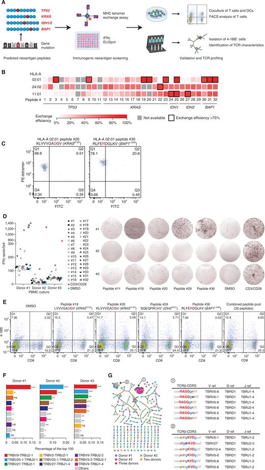 Geospatial Immune Heterogeneity Reflects the Diverse Tumor–Immune ...