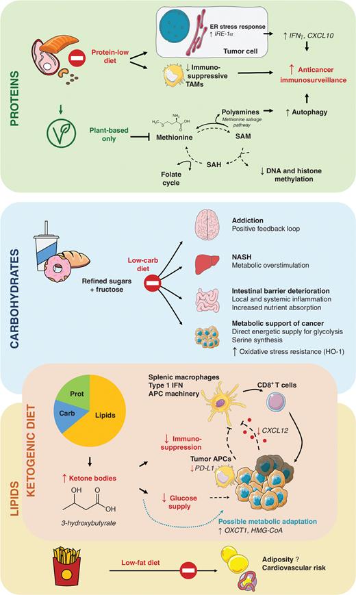 Science-Driven Nutritional Interventions for the Prevention and ...