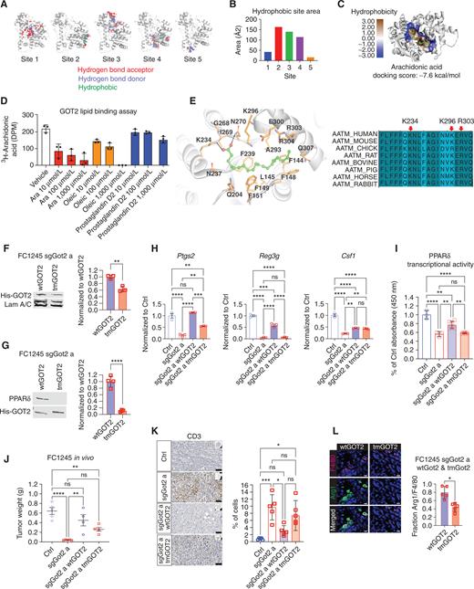 A Cancer Cell–Intrinsic GOT2–PPARδ Axis Suppresses Antitumor Immunity ...