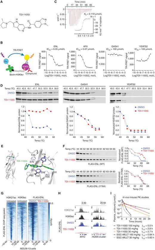 Small-Molecule Inhibition of the Acyl-Lysine Reader ENL as a Strategy ...