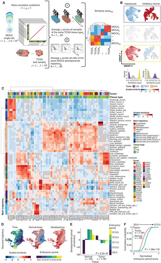 Developmental Deconvolution for Classification of Cancer Origin | Cancer Discovery | American ...