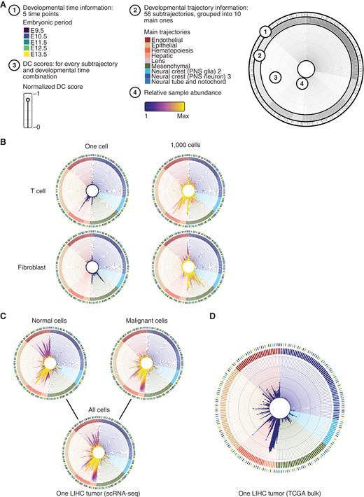 Developmental Deconvolution for Classification of Cancer Origin ...