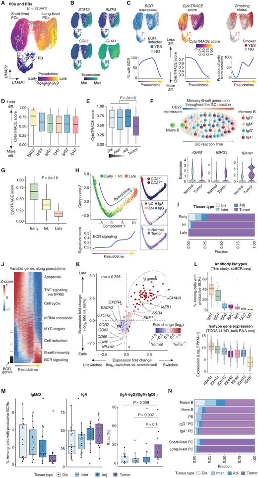 The Single-Cell Immunogenomic Landscape of B and Plasma Cells in Early ...