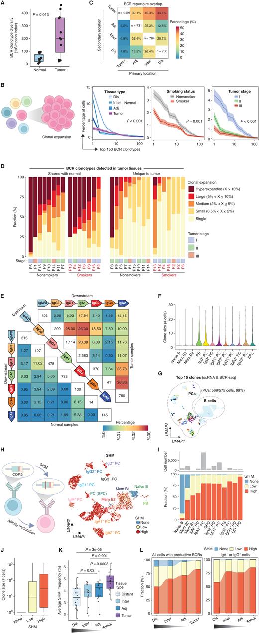 The Single-Cell Immunogenomic Landscape of B and Plasma Cells in Early ...