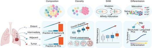 The Single-Cell Immunogenomic Landscape of B and Plasma Cells in Early ...