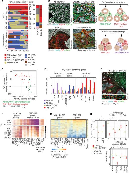 Spatial Positioning and Matrix Programs of Cancer-Associated ...