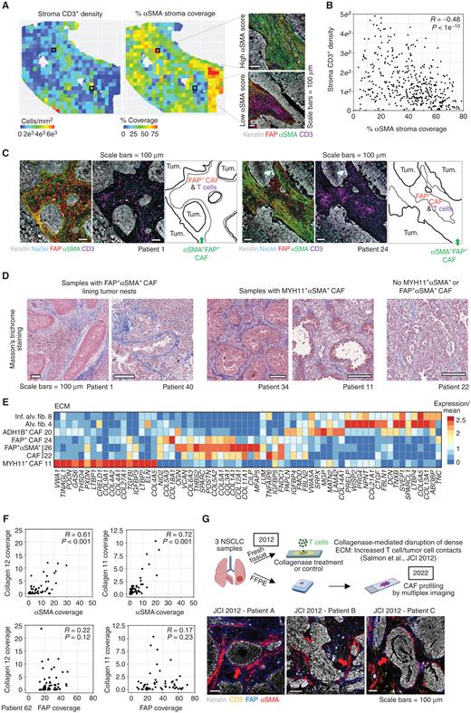 Spatial Positioning and Matrix Programs of Cancer-Associated ...