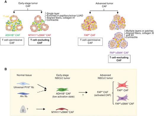 Spatial Positioning and Matrix Programs of Cancer-Associated ...