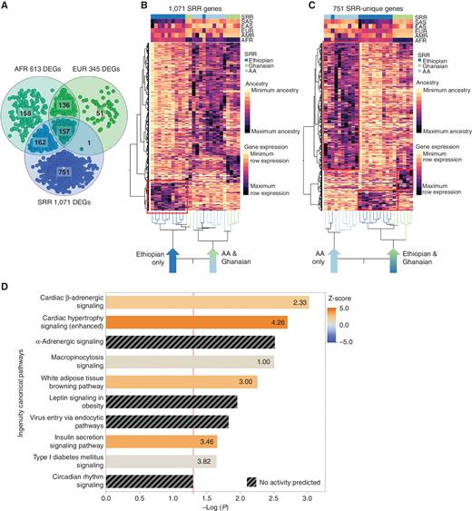 African Ancestry–Associated Gene Expression Profiles in Triple-Negative ...