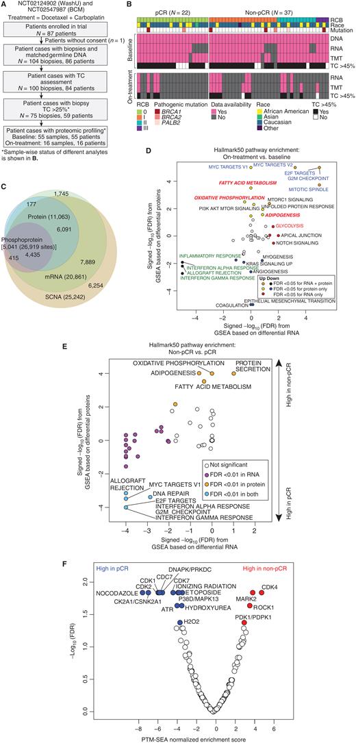 Proteogenomic Markers of Chemotherapy Resistance and Response in Triple ...