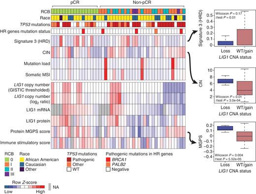 Proteogenomic Markers of Chemotherapy Resistance and Response in Triple ...