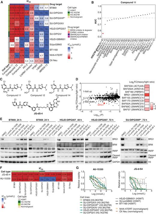 BAF Complex Maintains Glioma Stem Cells in Pediatric H3K27M Glioma ...