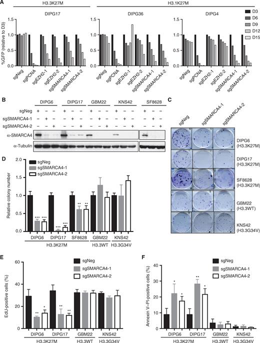 Epigenome Programming by H3.3K27M Mutation Creates a Dependence of ...