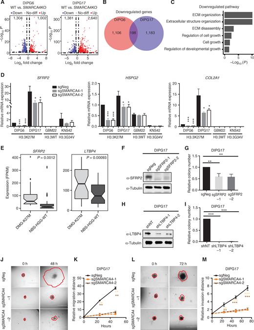 Epigenome Programming by H3.3K27M Mutation Creates a Dependence of ...