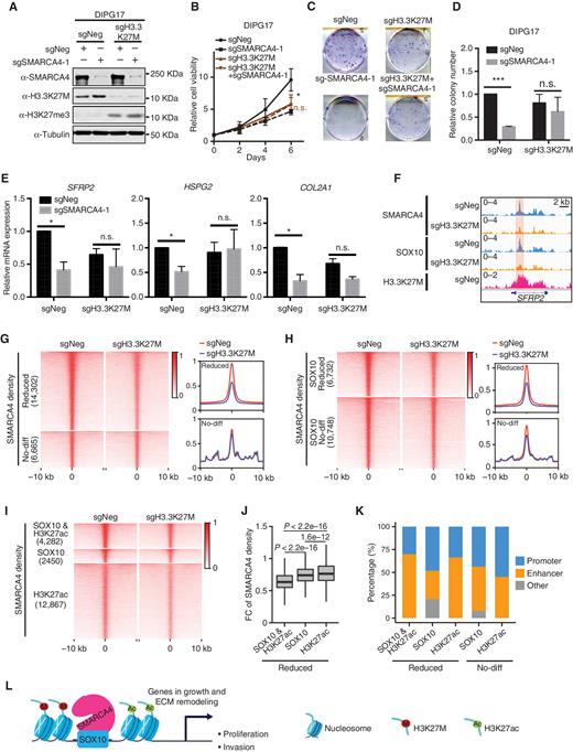 Epigenome Programming by H3.3K27M Mutation Creates a Dependence of ...