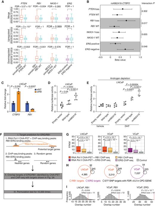 Prostate Cancer Transcriptomic Regulation by the Interplay of Germline ...