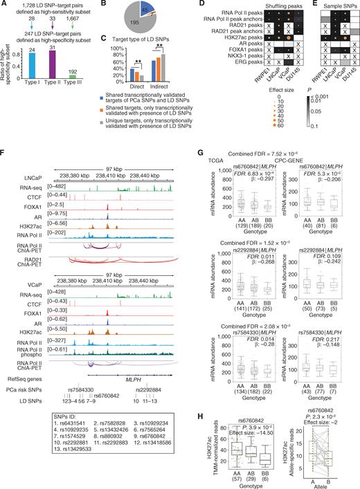 Prostate Cancer Transcriptomic Regulation by the Interplay of Germline ...