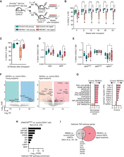 Distinct Tumor Necrosis Factor Alpha Receptors Dictate Stem Cell ...