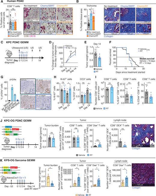 Stromal Reprogramming by FAK Inhibition Overcomes Radiation Resistance ...