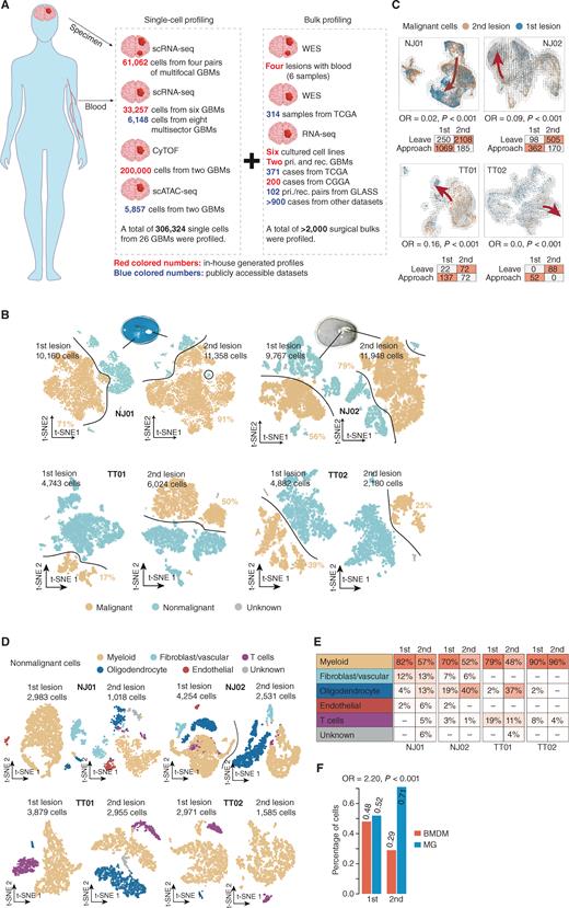 Natural Coevolution of Tumor and Immunoenvironment in Glioblastoma ...