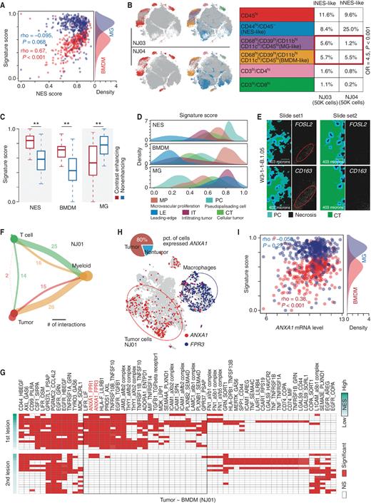 Natural Coevolution of Tumor and Immunoenvironment in Glioblastoma ...