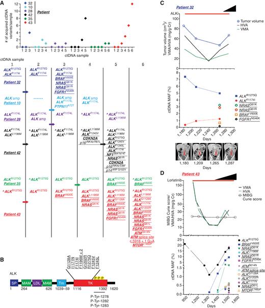 Serial Profiling of Circulating Tumor DNA Identifies Dynamic Evolution ...