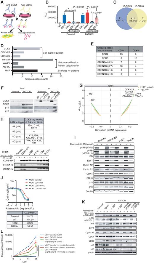 INK4 Tumor Suppressor Proteins Mediate Resistance to CDK4/6 Kinase ...